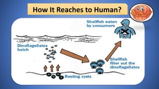 Shellfish Poisoning | PPTX