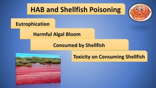 Shellfish Poisoning | PPTX
