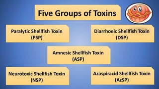 Shellfish Poisoning | PPTX
