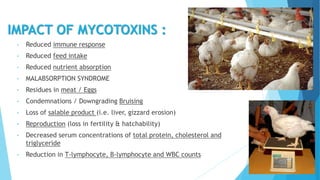 Toxin binders | PPTX