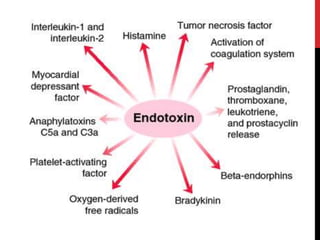 Toxins | PPTX