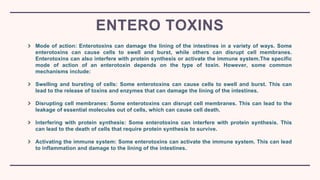 TOXINS-Type VII and its properties.pptx