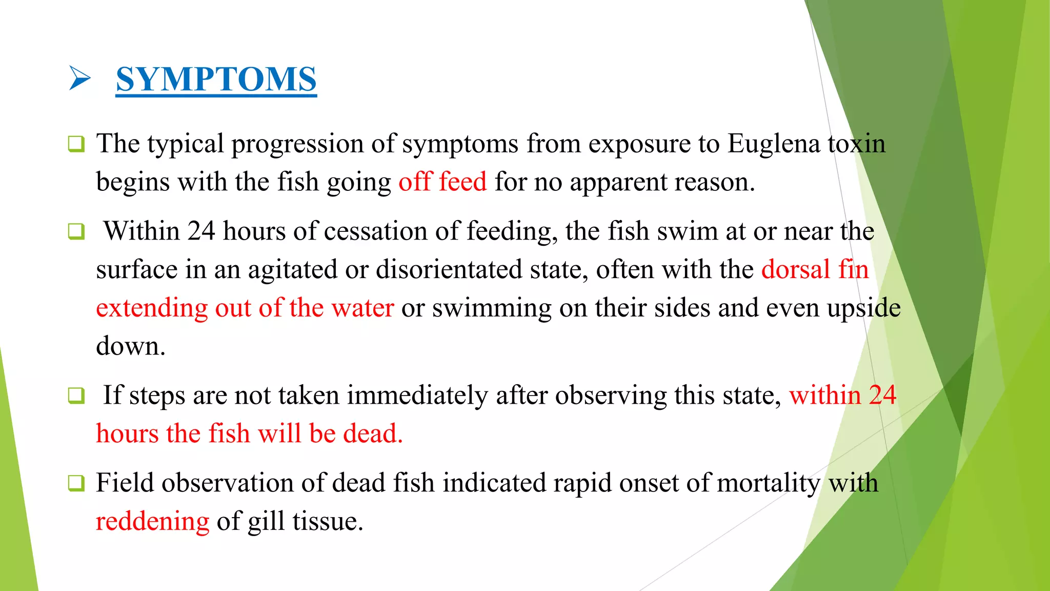 fish diseases caused by toxins | PPTX