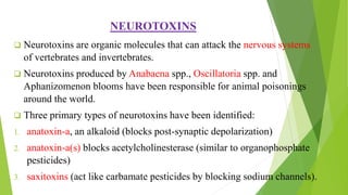 fish diseases caused by toxins | PPTX