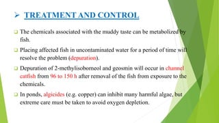 fish diseases caused by toxins | PPTX