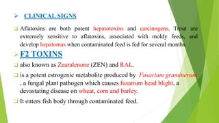 fish diseases caused by toxins | PPTX