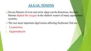 fish diseases caused by toxins | PPTX