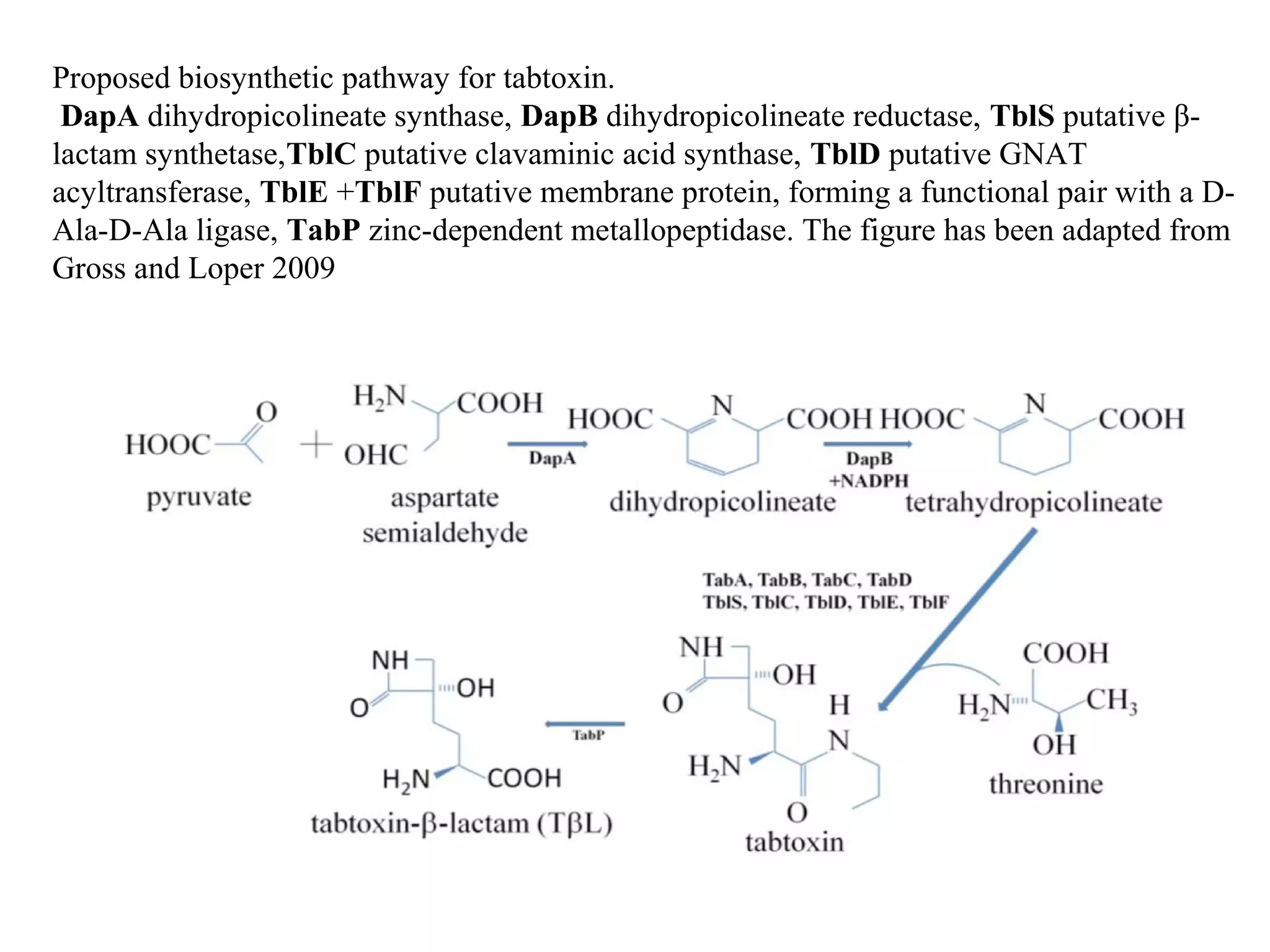Toxins and enzymes in plant diseases | PPT
