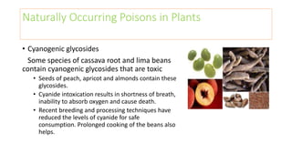 Toxins Found in Food.pptx