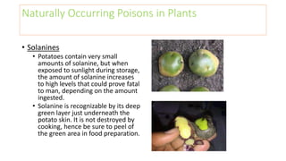 Toxins Found in Food.pptx