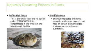 Toxins Found in Food.pptx