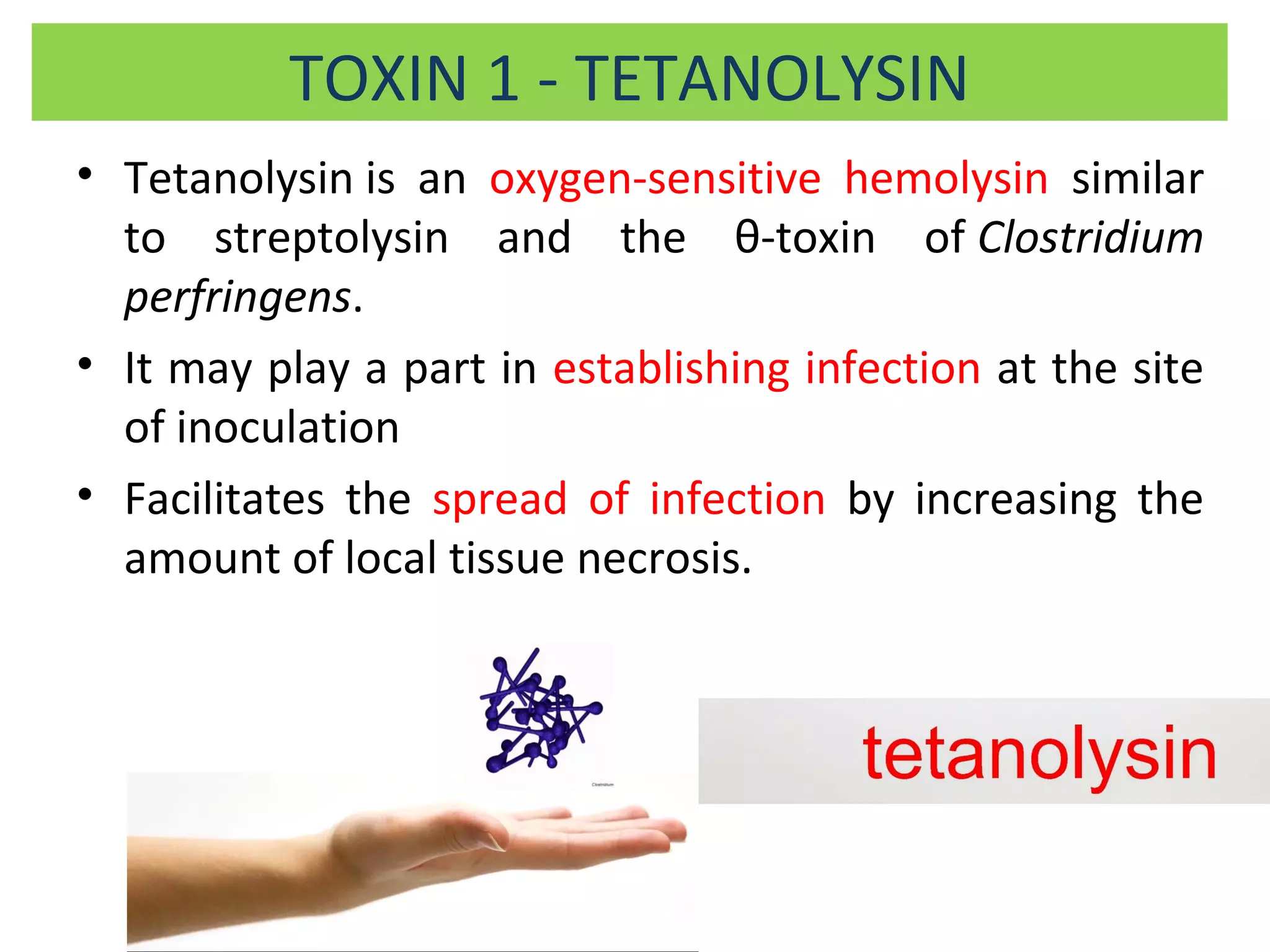 Toxins of Clostridium tetani | PPT