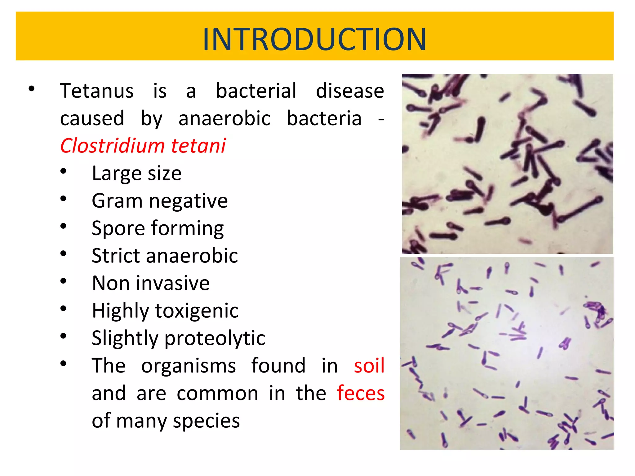 Toxins of Clostridium tetani | PPT