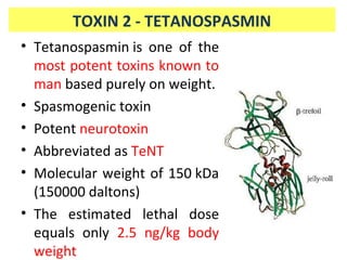 Toxins of Clostridium tetani | PPT