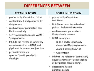 Toxins of Clostridium tetani | PPT