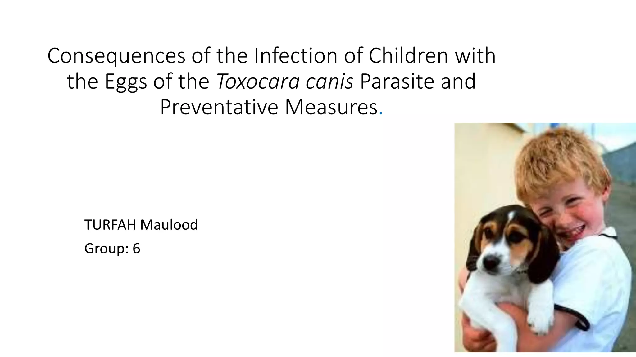 Toxocara canis in children | PPTX