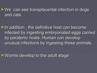 About ToToxocari̇asi̇s | PPT