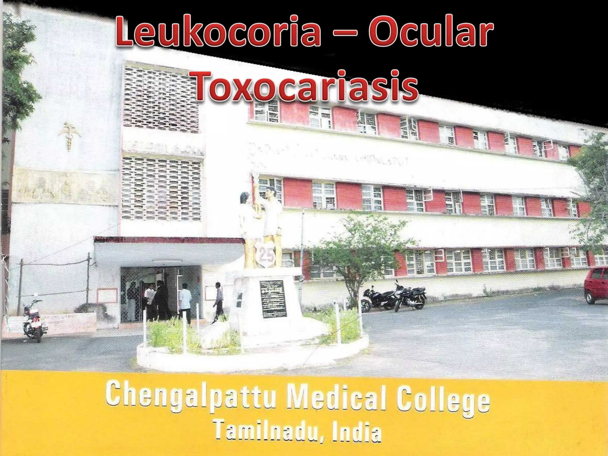 Toxocariasis | PDF