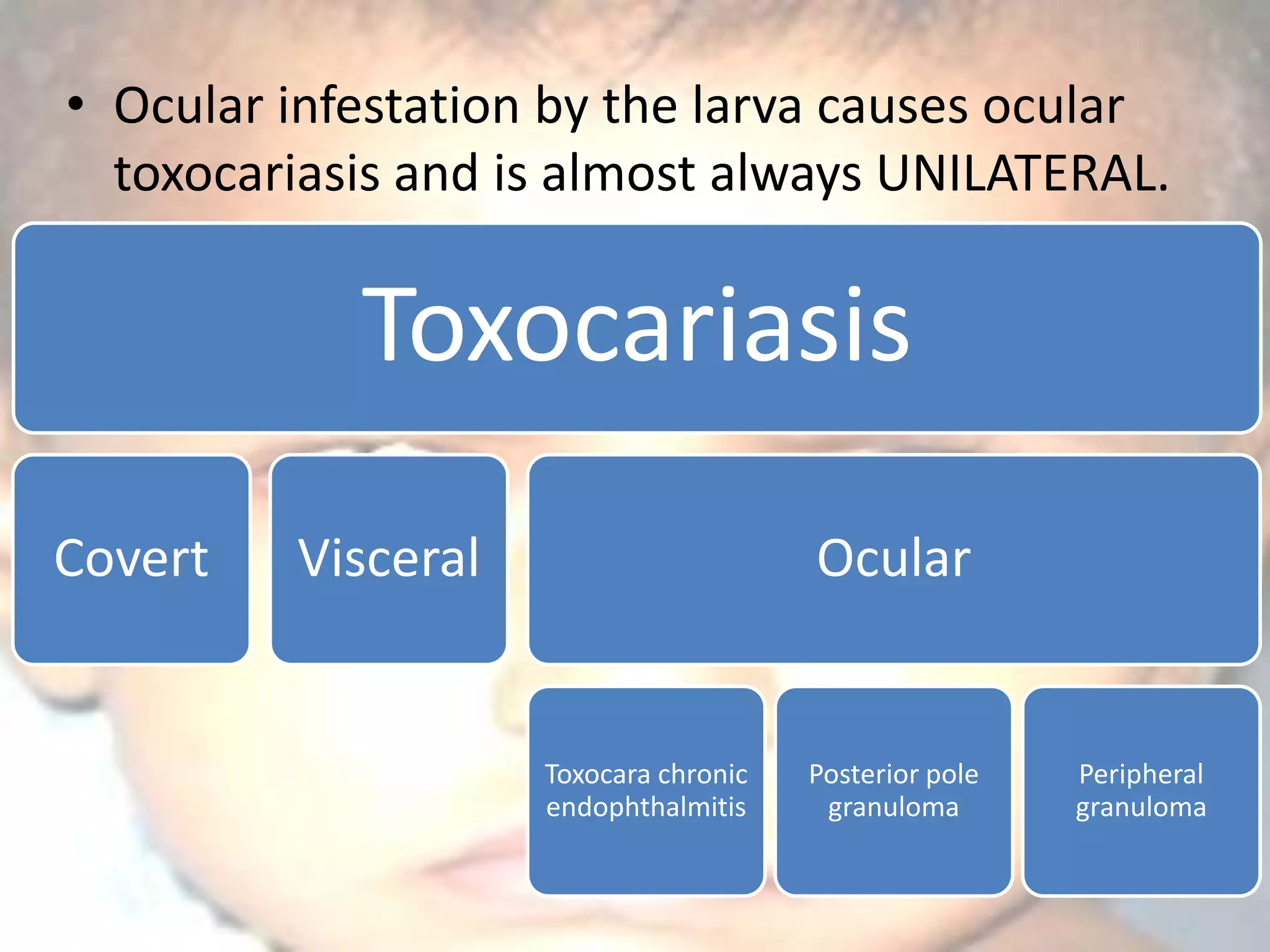 Toxocariasis | PDF