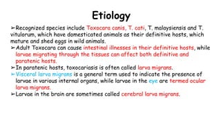 TOXOCARIASIS.pptx in depth review of toxocariasis | PPTX