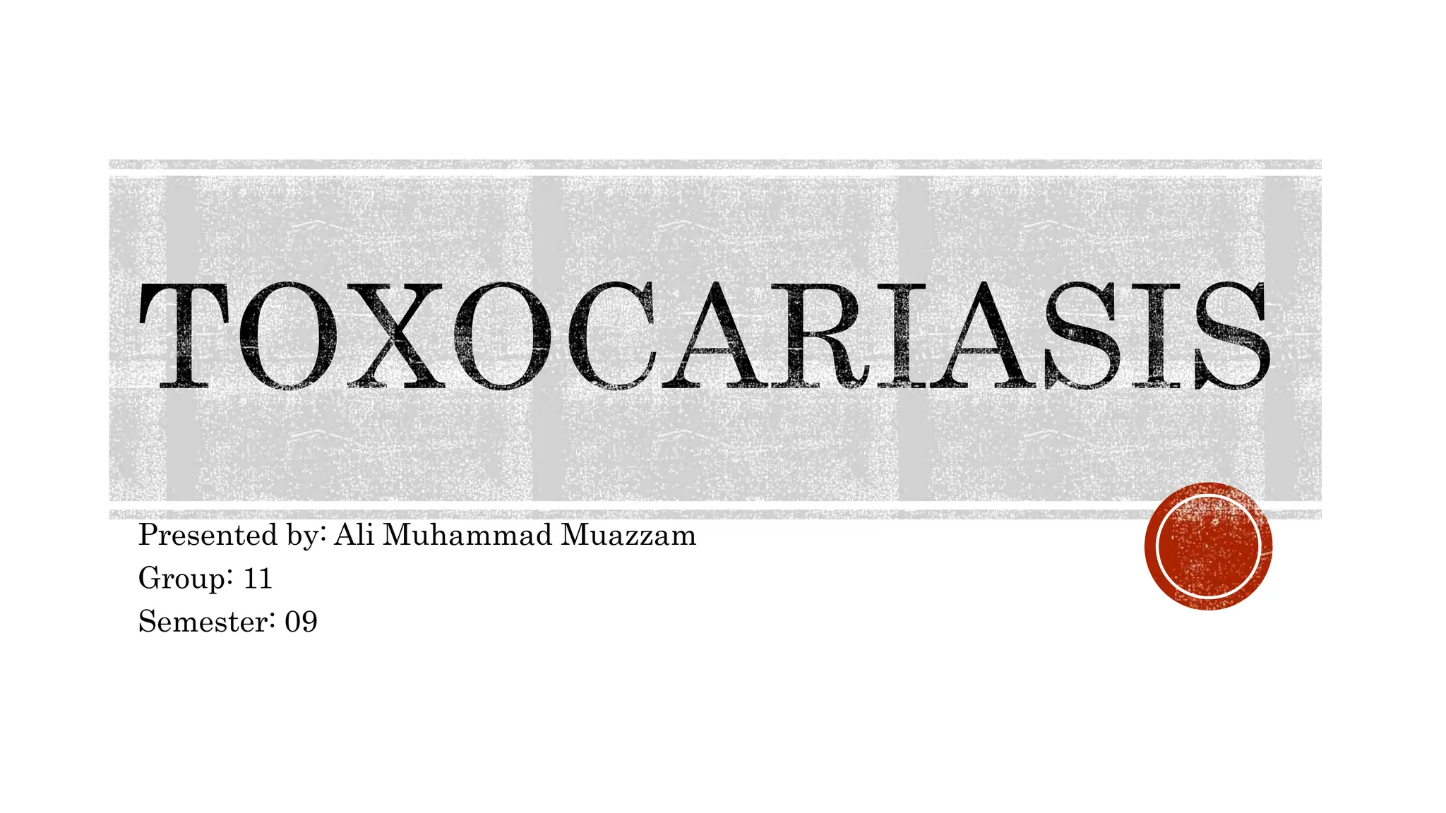 toxocariasis by ali muhammad muazzam.pptx