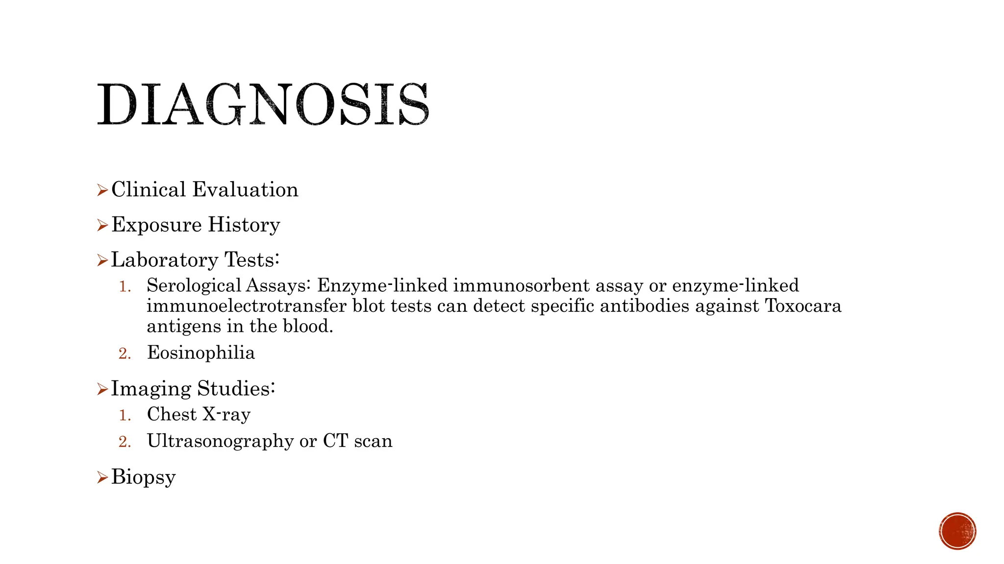 toxocariasis by ali muhammad muazzam.pptx