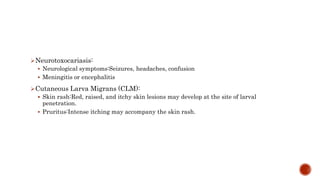 toxocariasis by ali muhammad muazzam.pptx