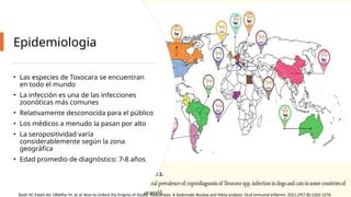 Toxocariasis ocular (Larva migrans, Toxocara canis y cati, helmintos ...