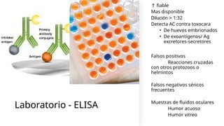 Toxocariasis ocular (Larva migrans, Toxocara canis y cati, helmintos ...