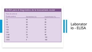Toxocariasis ocular (Larva migrans, Toxocara canis y cati, helmintos ...