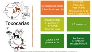 Toxocariasis ocular (Larva migrans, Toxocara canis y cati, helmintos ...