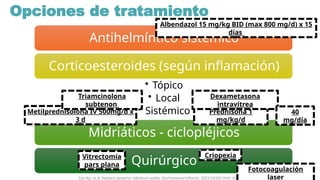 Toxocariasis ocular (Larva migrans, Toxocara canis y cati, helmintos ...