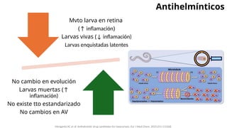 Toxocariasis ocular (Larva migrans, Toxocara canis y cati, helmintos ...