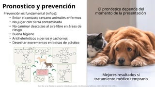 Toxocariasis ocular (Larva migrans, Toxocara canis y cati, helmintos ...