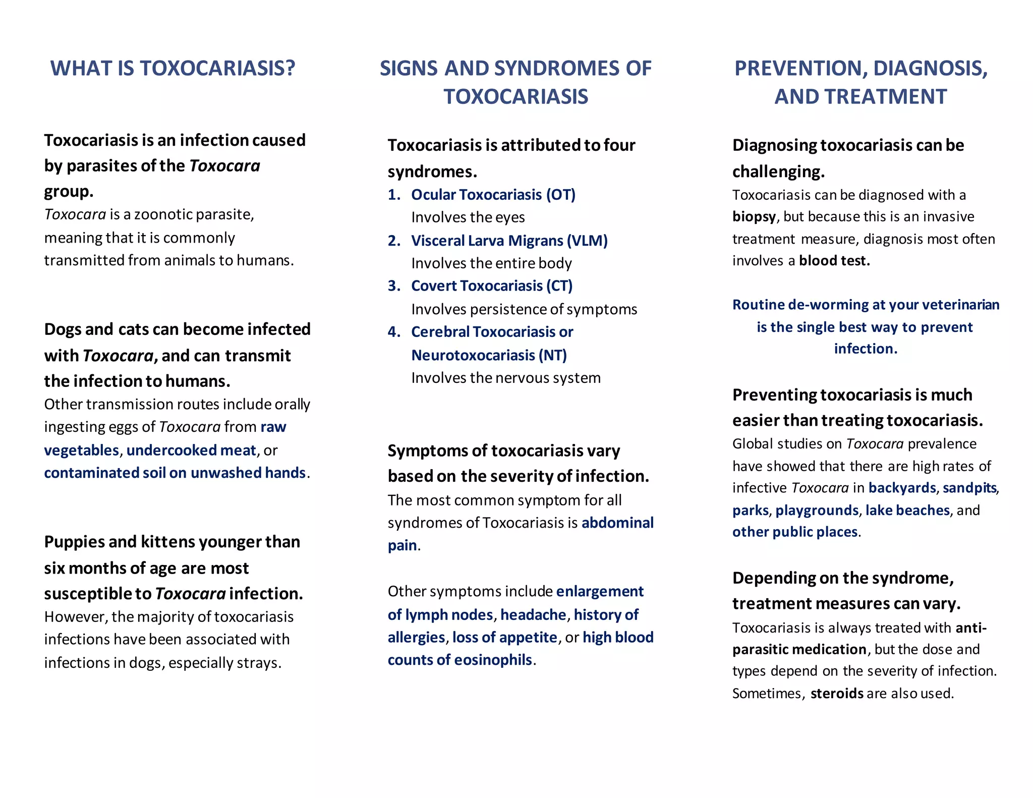 Toxocariasis | DOCX