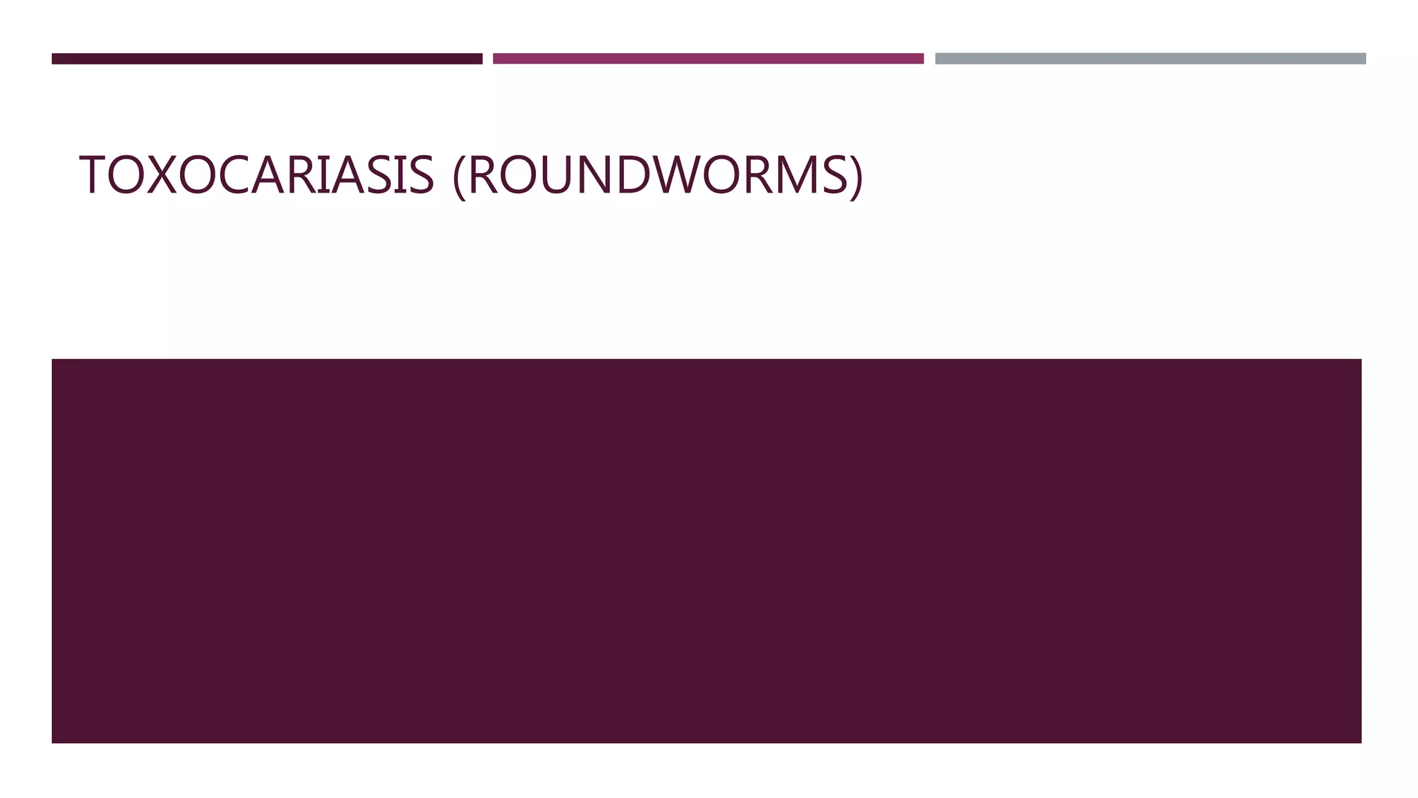 Toxocariasis (roundworms) | PPTX