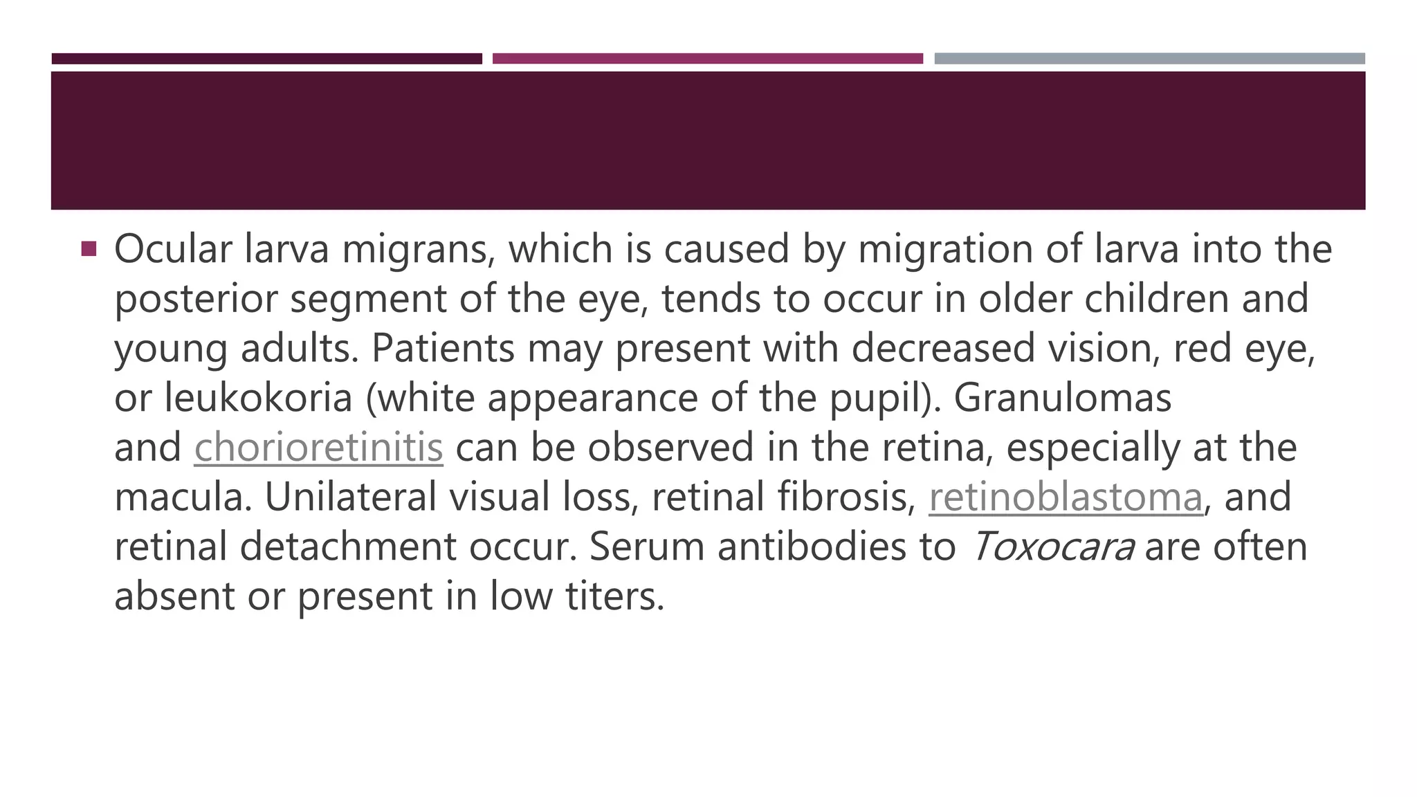 Toxocariasis (roundworms) | PPTX