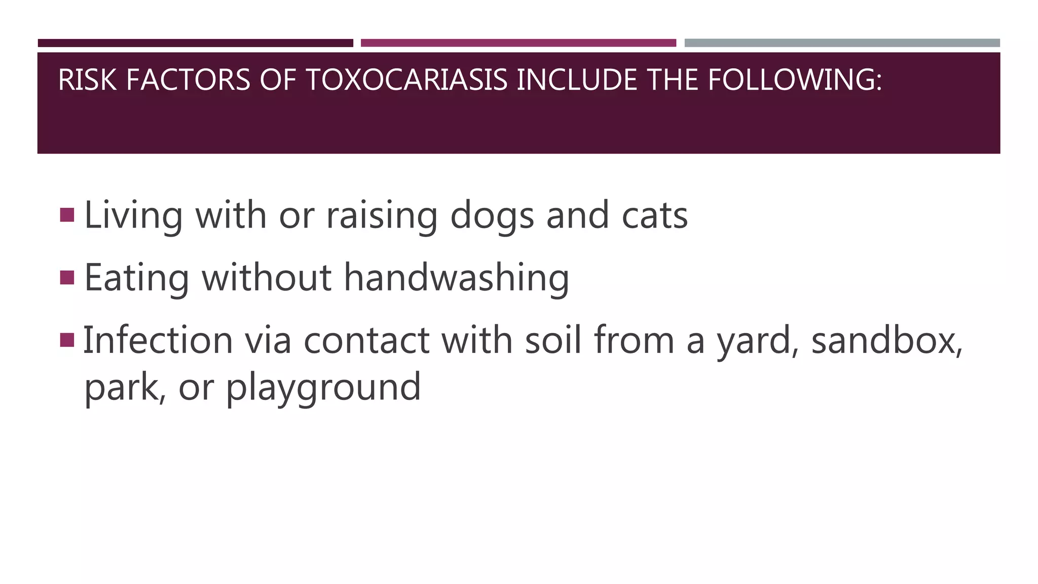 Toxocariasis (roundworms) | PPTX