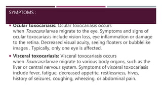 Toxocariasis (roundworms) | PPTX