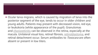 Toxocariasis (roundworms) | PPTX