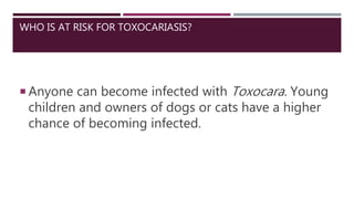 Toxocariasis (roundworms) | PPTX