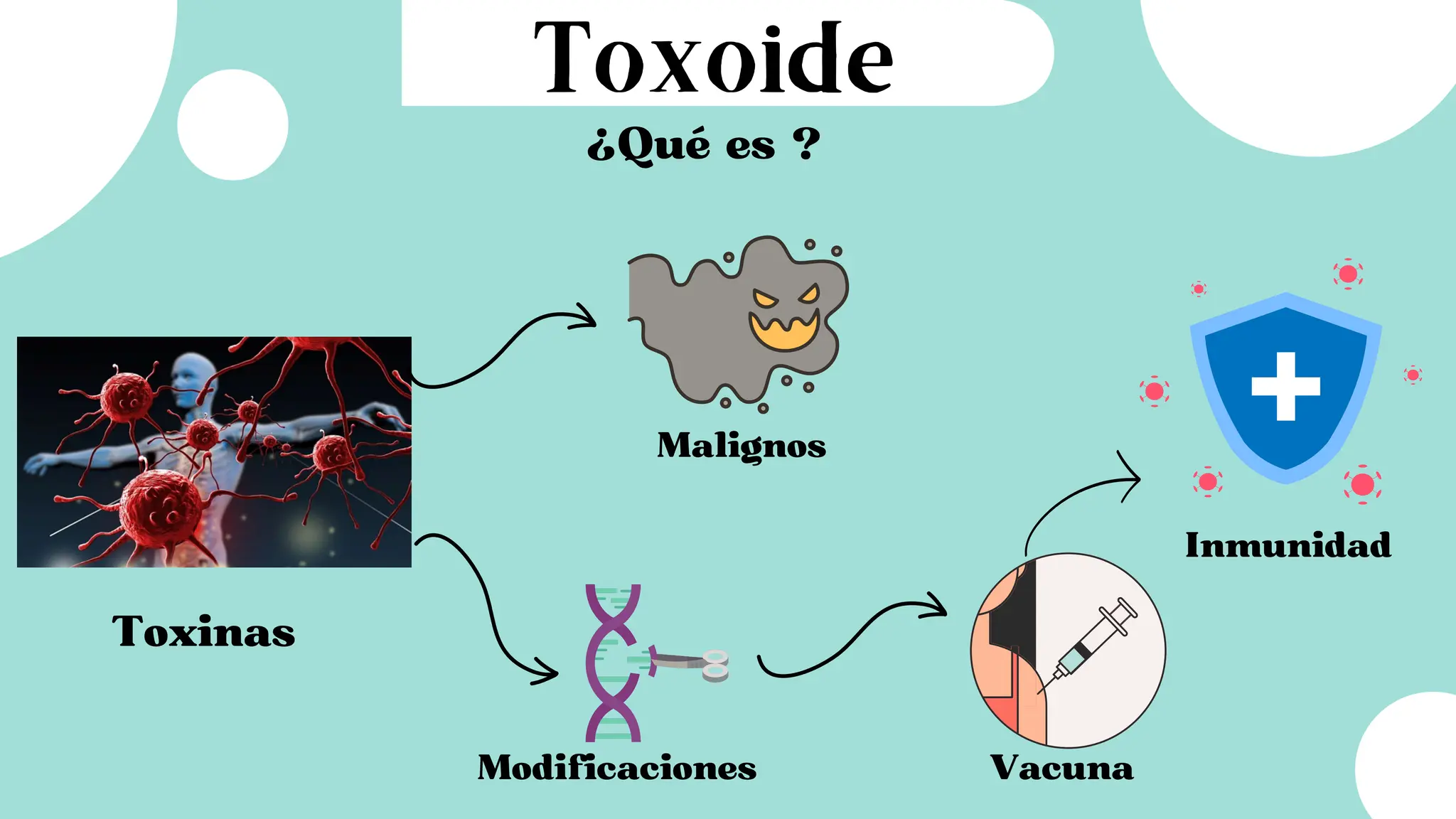 Toxoide tetanico y difterico.pdf archivo completo | PPT