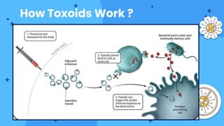 TOXOIDS.pptx