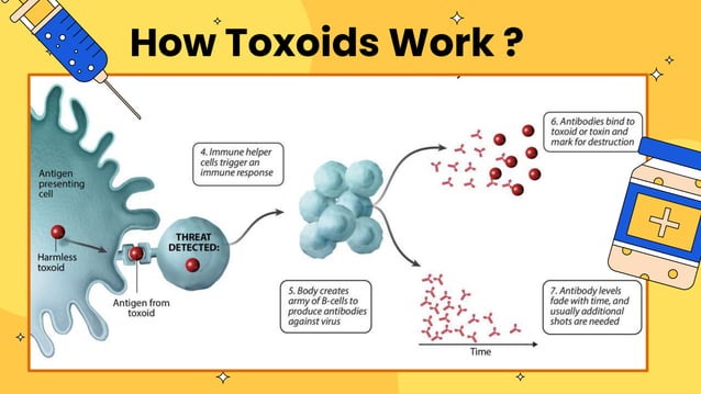 TOXOIDS.pptx