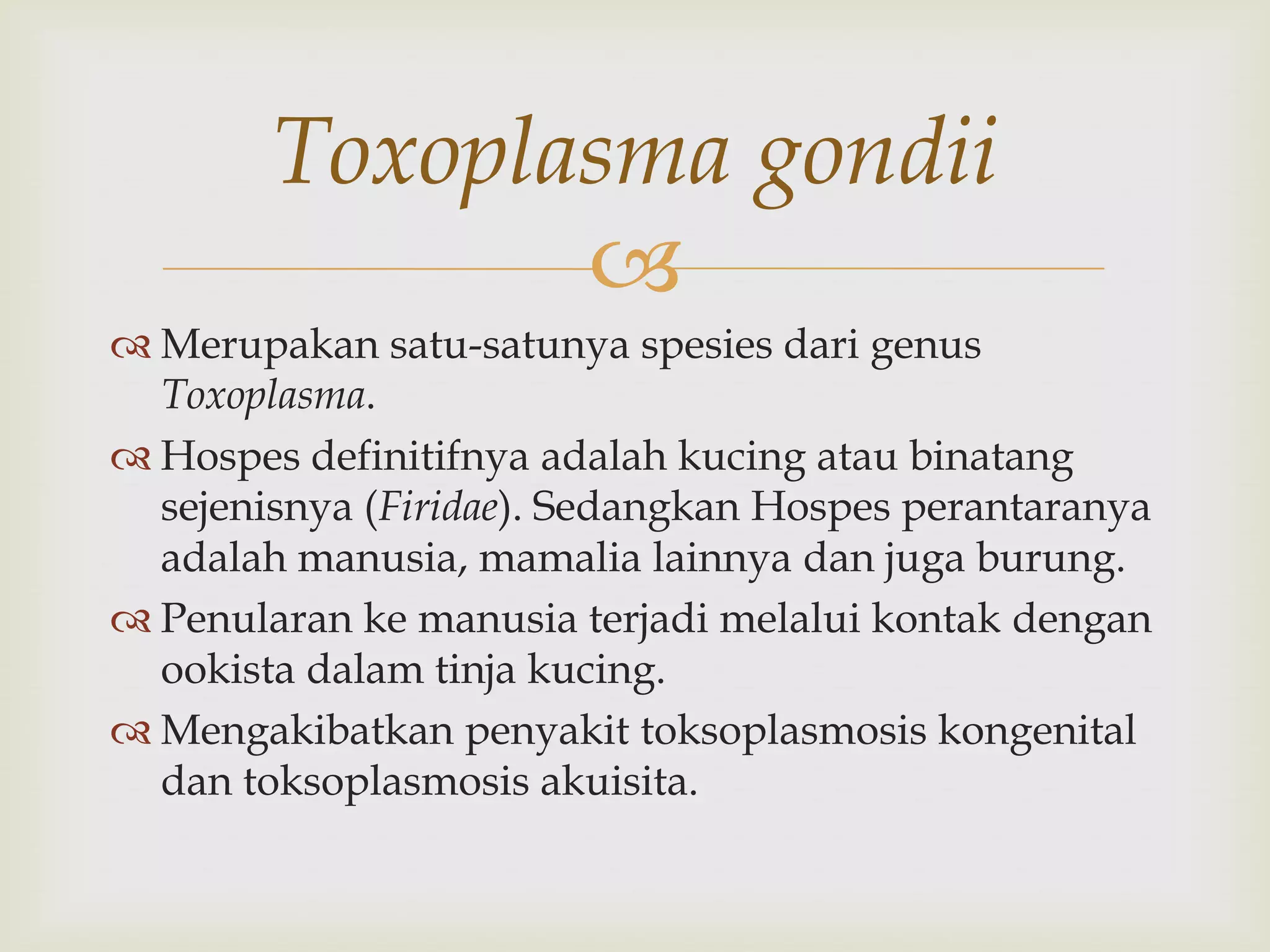 Toxoplasma | PPTX