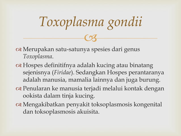 Toxoplasma | PPTX