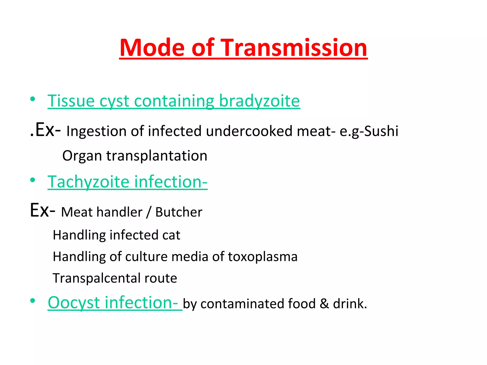 Toxoplasma | PPT