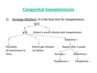 Toxoplasma | PPT