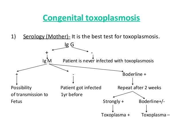 Toxoplasma
