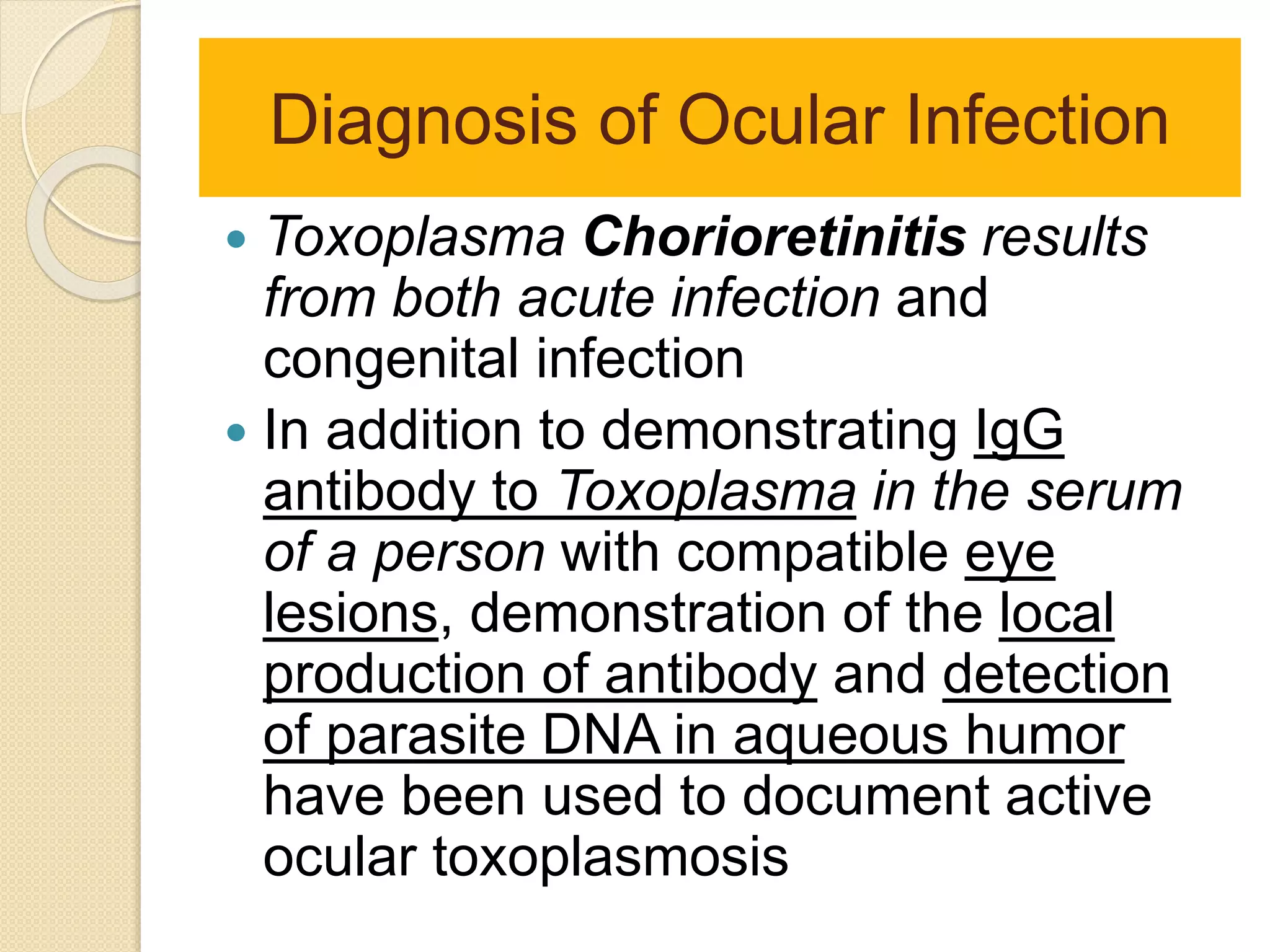 Toxoplasma | PPTX